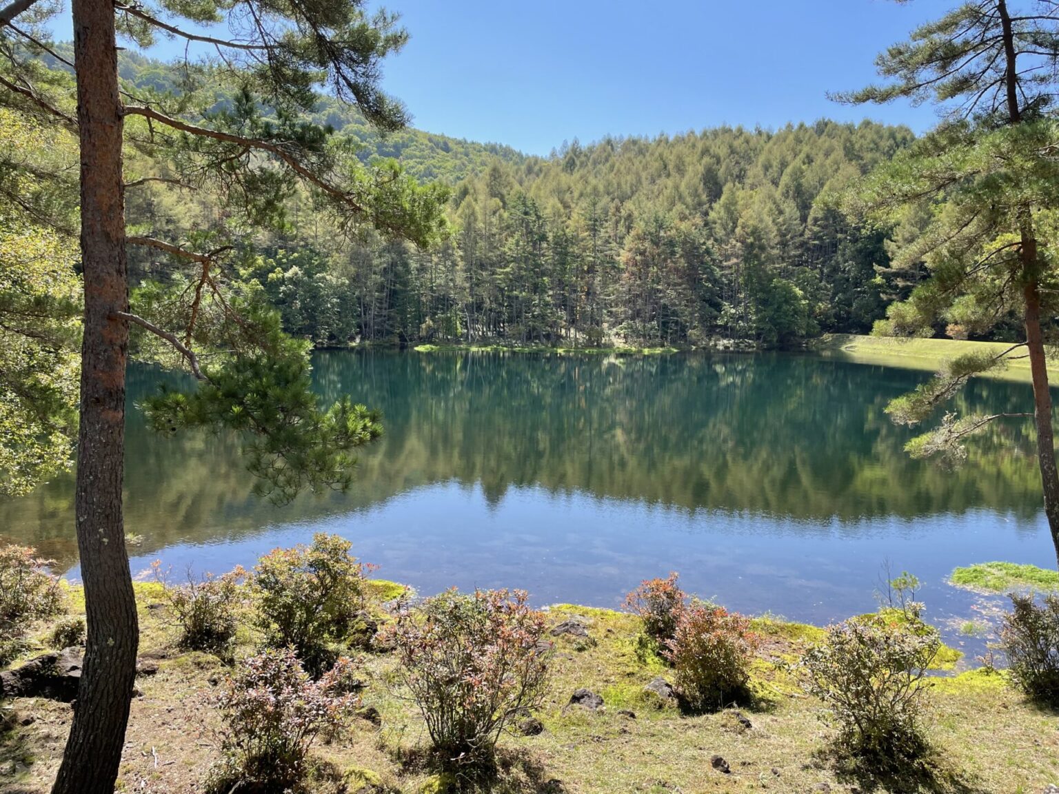 Three Enchanting Ponds: Exploring Mishakaike, Monet's Water Lily Pond ...